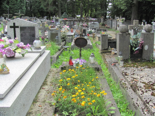 NN Tarnów - Grobonet - Wyszukiwarka osób pochowanych